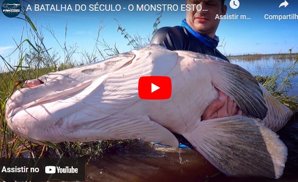 Pirarucu de 130 quilos ‘detona’ boca de pescador na Amazônia. Veja ...