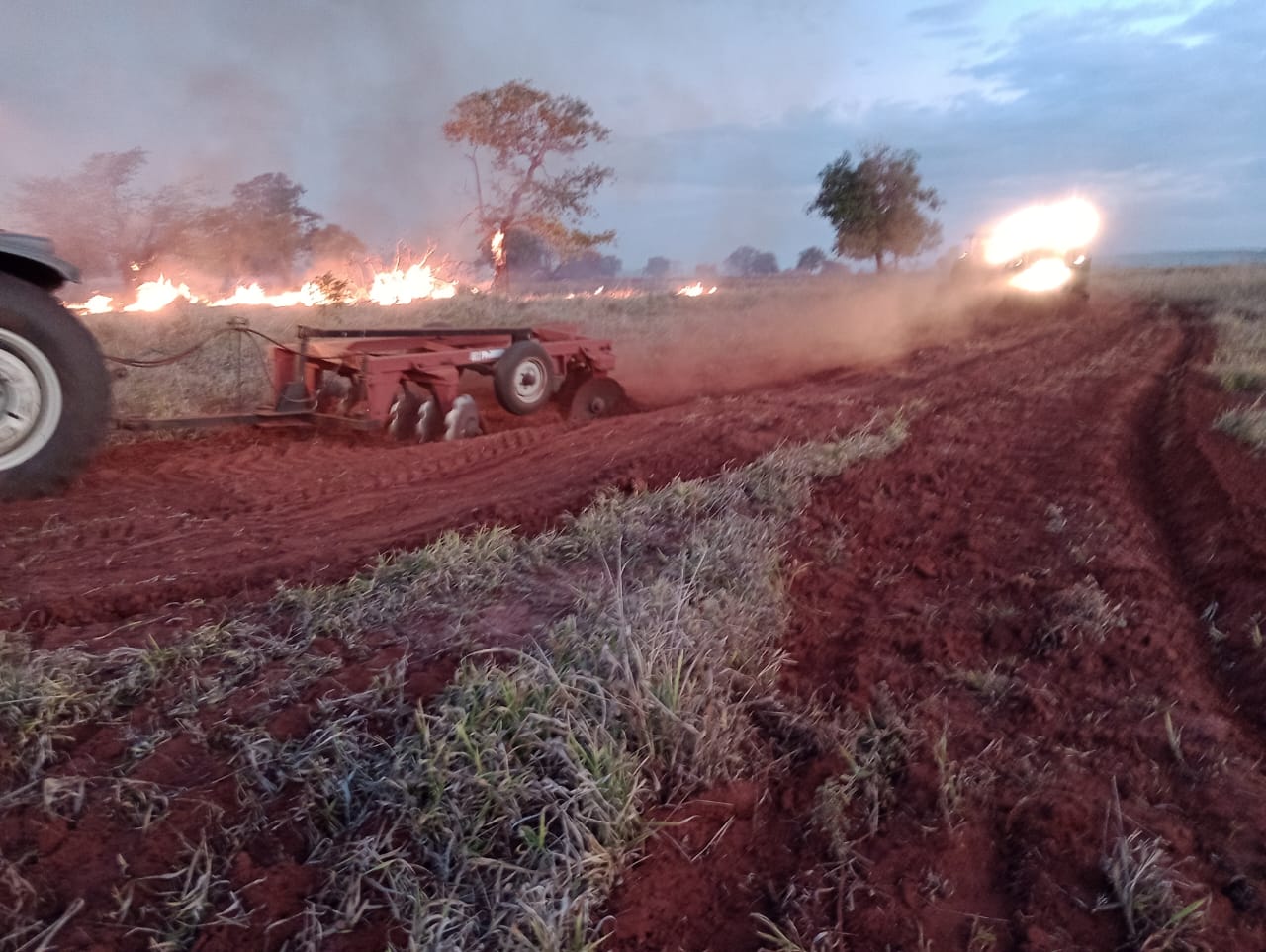 SUSPEITA de queimada controlada vira tragédia ambiental em Cassilândia ...