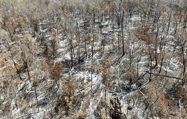 DONO de propriedade é multado em R$ 16 mil pela queima de 16 hectares ...